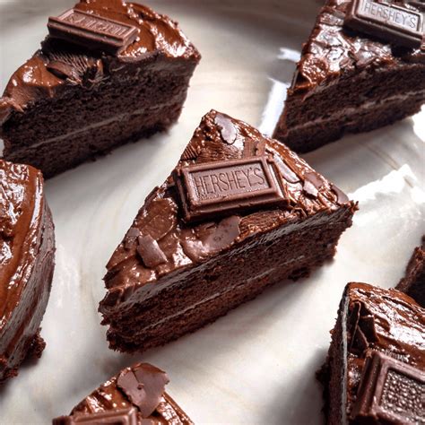 Hershey S Fudgy Chocolate Cake Recipe Baking Simple Bakeomaniac