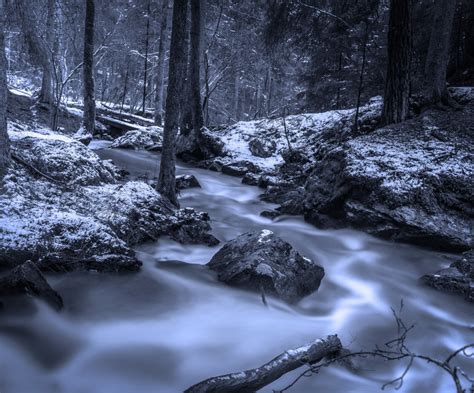 Bildet Landskap Tre Vann Skog Stein Lita Elv Bekk Villmark