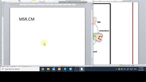 Lec Part Medical Parasitology Youtube