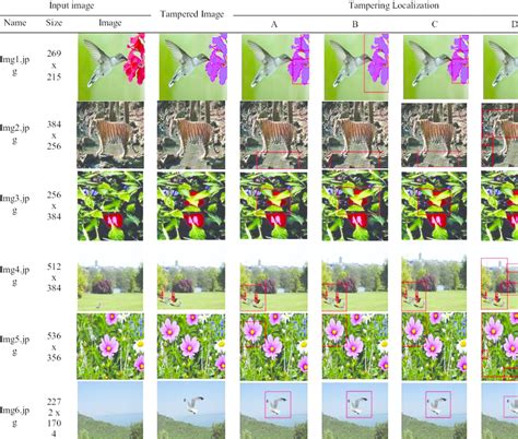 tampering localization download table