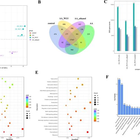 Rna Seq Data Analysis A Pca Of Gene Expression B Venn Diagram Of Gene
