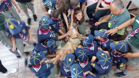 Grupo Escoteiro Ibiraci 43º SP realiza atividades do 8º MUTEPT