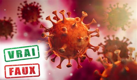 Voici Le Vrai Du Faux Autour Du Coronavirus Au Maroc Le Reporter Express