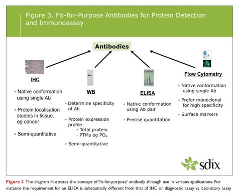 Protein Biomarker Immunoassays Opportunities And Challenges Drug