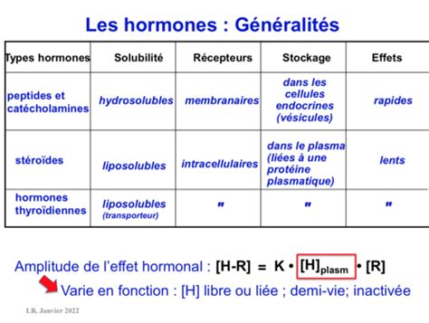 Syst Me Endocrinien Flashcards Quizlet