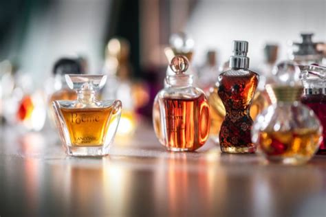 Perfumes Descubra Os Segredos Dos Aromas