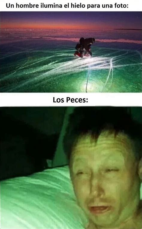 Los Peces Cuando Los Humanos Hacen Movidas En El Mar Meme Subido Por