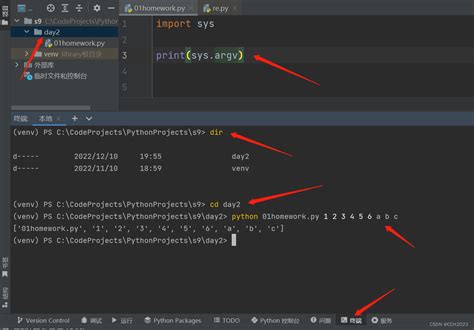 python学习基础笔记四十一——sys模块 msc v 1929 64 bit amd64 csdn博客