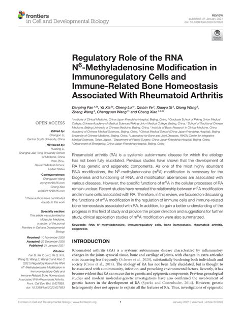 PDF Regulatory Role Of The RNA N6 Methyladenosine Modification In