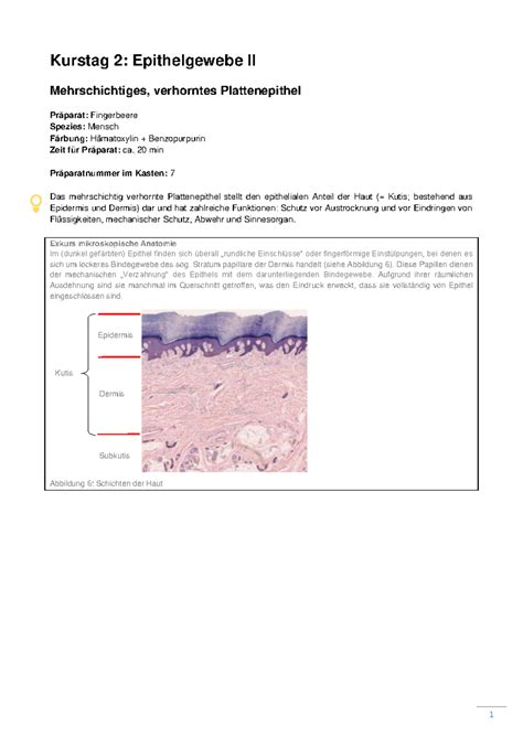 Histologie Skript Kurstag 02 ZM Kurstag 2 Epithelgewebe II