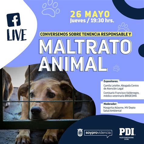 Muniprovi on Twitter LIVE MALTRATO ANIMAL Conversación