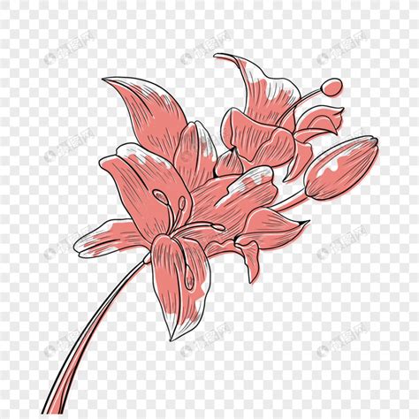 花卉抽象淡粉色线稿花朵装饰元素素材下载 正版素材402074902 摄图网