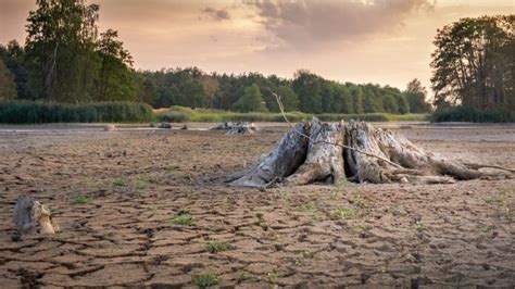 Aumenta el impacto de las sequías e inundaciones Ambientum