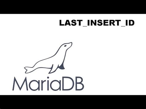 LAST INSERT ID Mariadb Mysql YouTube
