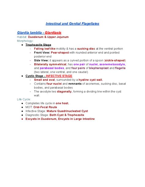 Intestinal Flagellates Intestinal And Genital Flagellates Giardia