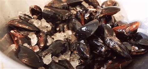 Combien De Temps Peut On Conserver Des Moules Dans Le R Frig Rateur
