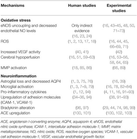 Frontiers Neurovascular Unit Dysfunction And BloodBrain Barrier