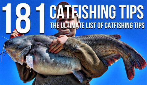 How To Reach Out To Catfish At Bertha Patterson Blog