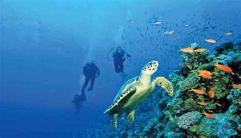 Tourist Map Of El Salvador By El Salvador Travel Issuu