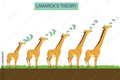 Vektorová grafika Lamarckism a theory of evolution based on the