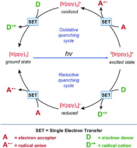 Oxidative And Reductive Quenching Cycles For An Archetypal Ir III