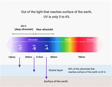 Uva Uvb Uvc And Uvv Wavelength Ranges Curing Processes Off