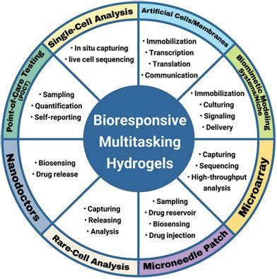 生物医学新时代的先进生物响应多任务水凝胶 Advanced Functional Materials X MOL