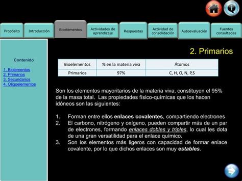 Bioelementos Ppt
