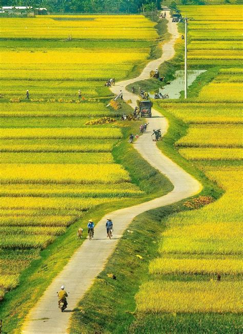 45 Hình Ảnh Làng Quê Việt Nam Xưa Và Nay Đẹp Thanh Bình