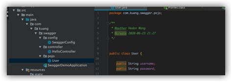超详细 swagger 使用指南（附带注解总结和源码） swagger使用 csdn博客