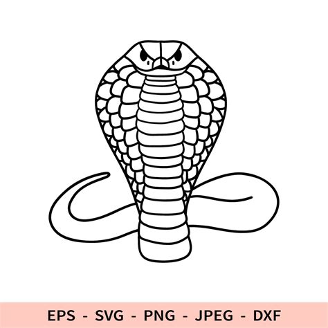 Cobra Snake Svg King Cobra Outline Halloween Dxf File For Cr Inspire