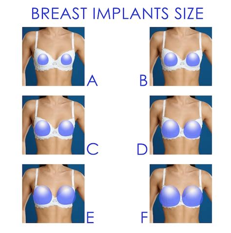 Bra Cup Size Comparison Pictures