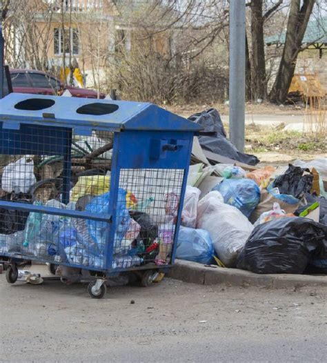 Nowe zasady segregacji śmieci w 2025 roku Sprawdź co się zmienia