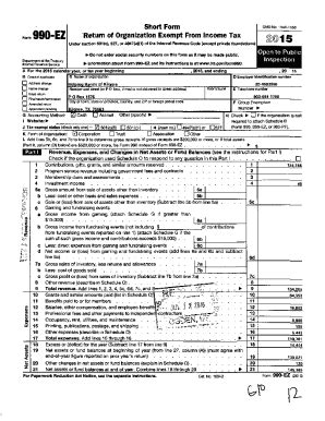 Fillable Online Instructions For Form 990 Return Of Organization Exempt