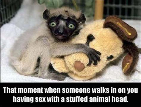 Random Collection Of Funny Memes Guaranteed To Make You Laugh Gallery Ebaums World