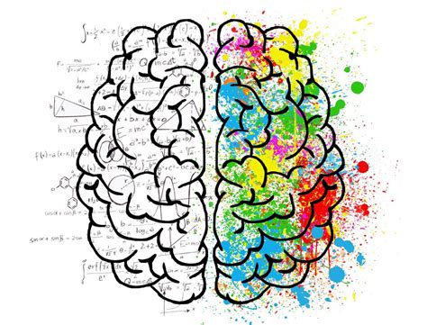 Qué es la neuropsicología Ítaca Psicología