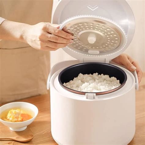 Cuiseur Riz Intelligent M Nage L Mini Cuiseur Riz Enti Rement