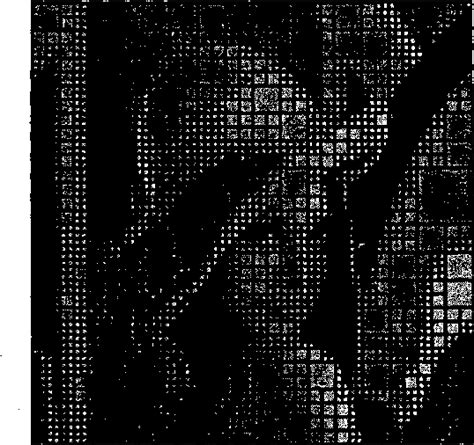 figure 2 from an efficient image compression technique using variable quadtree resolution and