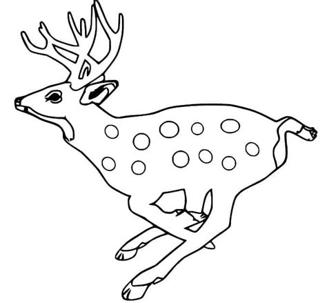 Coloriage T Te De Cerf T L Charger Et Imprimer Gratuit Sur