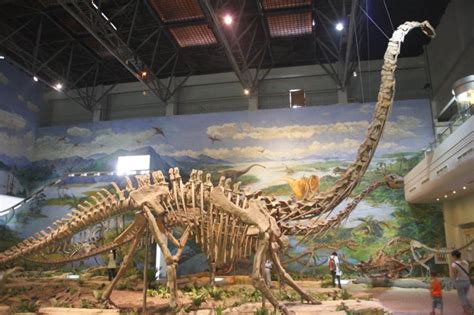 Mamenchisaurus Hochuanensis Dinosaur With The Longest Neck For Its