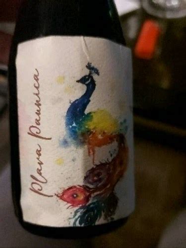 Vinarija Grabak Plava Paunica Vivino Us