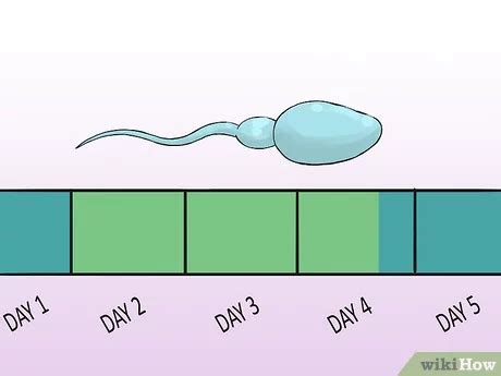 How To Have Sex On Period Telegraph