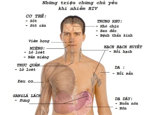 Tìm hiểu triệu chứng HIV thời kỳ cửa sổ và cách xác định bệnh