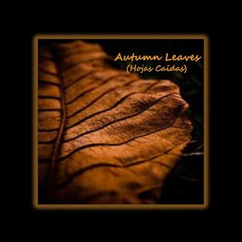 Stream Autumn Leaves Hojas Caídas Salsa by Michele Fernández