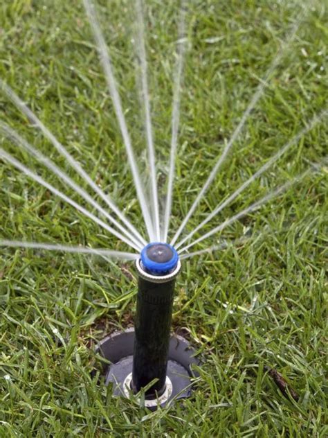 How To Install A Pop Up Continuous Sprayer Sprinkler Head How Tos DIY