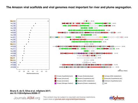 The Amazon Viral Scaffolds And Viral Genomes Most Important For River