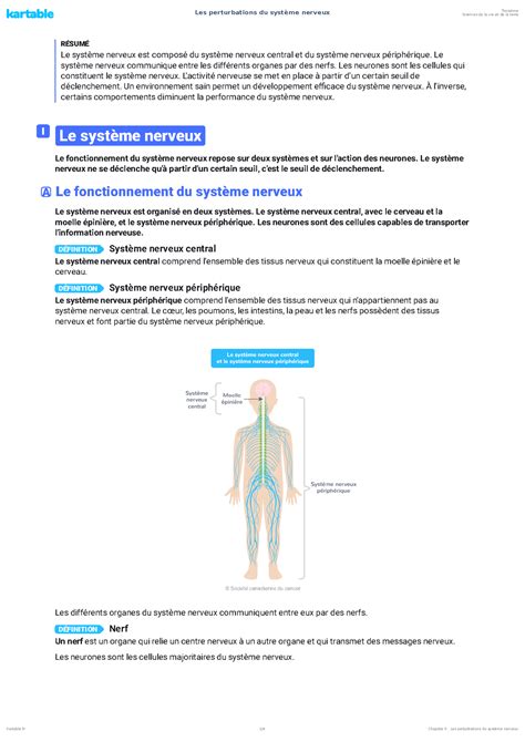Les perturbations du systeme nerveux 3 I Le système nerveux Le