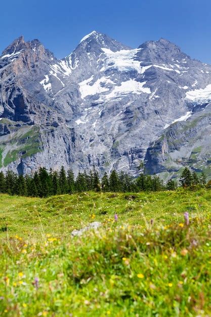 Premium Photo Swiss Alps Mountains And Blooming Meadow