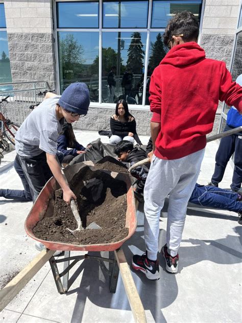 Native Plant Pollinator Gardens Our Canada Project