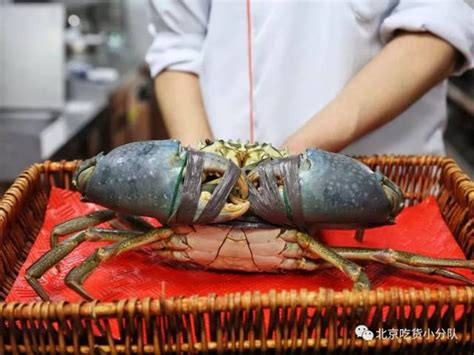 超级巨型大青蟹 青蟹最大 最大的青蟹 文秘苑图库